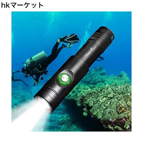 Odepro WD12 IPX8 Max 1050ルーメン ダイビングライト 水中ライト プロ仕様超高輝度 水中懐中電灯 IP68防水 水中100メートル使用可能