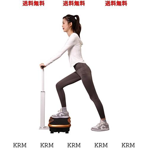 AORTD ブルブル振動マシン 3D振動 5種類のプログラムモード 振動調節99段階 振動マシーン 健康 静音マシン ぶるぶるマシン 室内運動器具