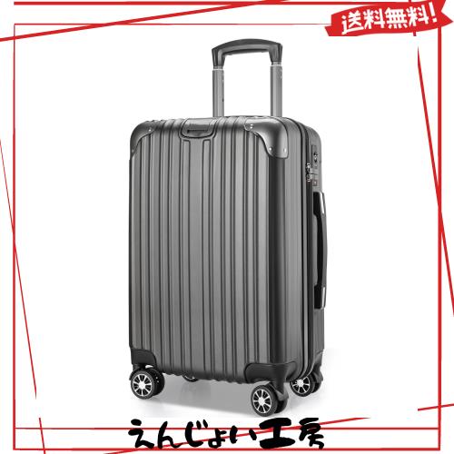 [VARNIC] スーツケース キャリーバッグ  ダブルキャスター 耐衝撃  TSAローク搭載 (L サイズ(98L), 灰)