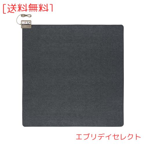 パナソニック ホットカーペット ヒーター本体 2畳 176×176cm DC-2NK