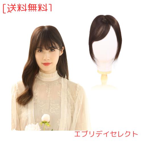 HIYE 部分ウィッグ 人毛100% 人工皮膚 総手植え 分け目自由 医療用 レディース 通気 超自然 ストレート ヘアピース 頭頂部カバー 増毛 薄