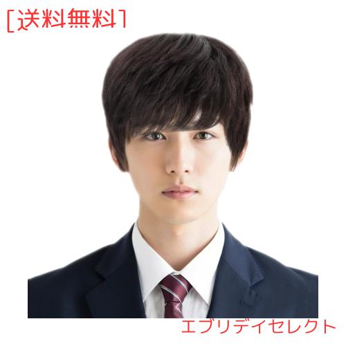 ウイッグ メンズ 人毛 手植え 男性用 ウイッグ 人毛100% カジュアル かつら ウィッグ メンズ バレない ルーム M/L サイズ選択可能 通気
