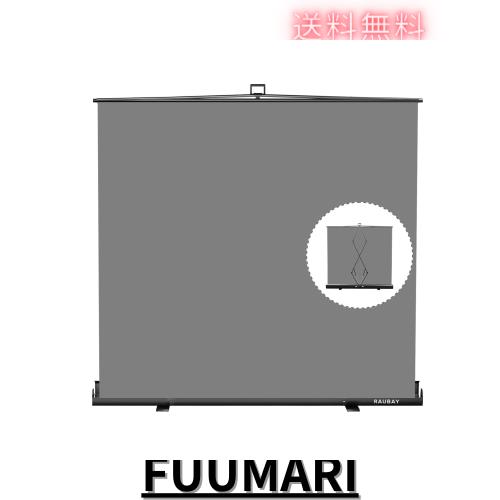 【より幅広い】RAUBAY 200x210センチメートルの大型折りたたみ可能な灰色幕布背景は、ポータブルで伸縮可能なパネルの写真背景で、スタン