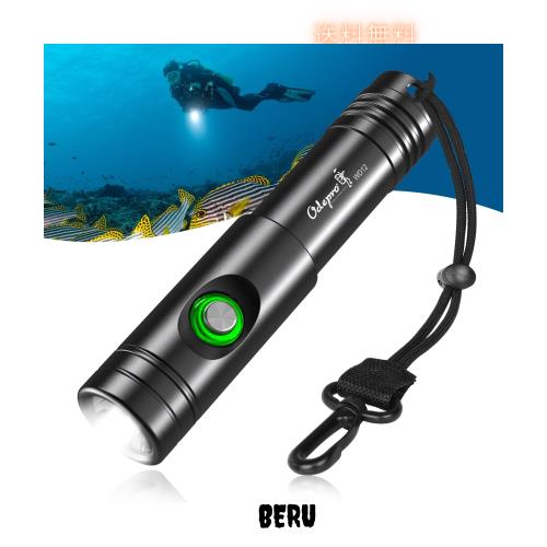 Odepro WD12 IPX8 Max 1050ルーメン ダイビングライト 水中ライト プロ仕様超高輝度 水中懐中電灯 IP68防水 水中100メートル使用可能