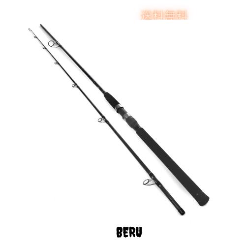 ノービ(Noeby) NBRO-LEX5 ショアジギングロッド スピニング 青物 釣り竿 9’0/9’6/10’0 2本 H/XH (スピニング-100H（Max70g）)