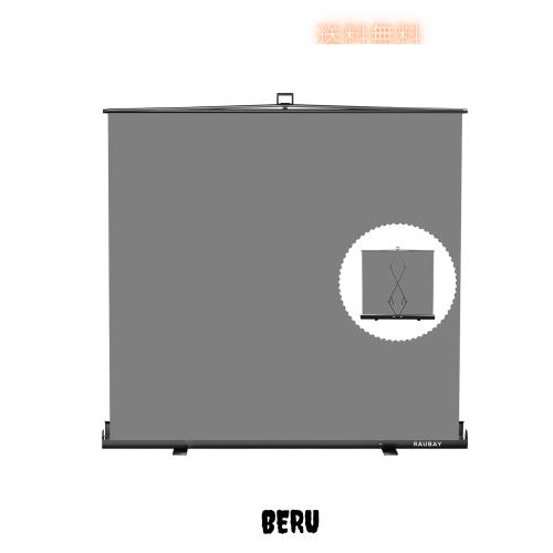 【より幅広い】RAUBAY 200x210センチメートルの大型折りたたみ可能な灰色幕布背景は、ポータブルで伸縮可能なパネルの写真背景で、スタン