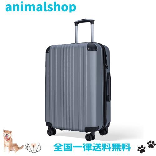 [Bargiotti] ABSスーツケース キャリーバッグ キャリーケース 大容量 超軽量 TSAロック ダブルキャスター 静音 旅行 ビジネス… (シルバ