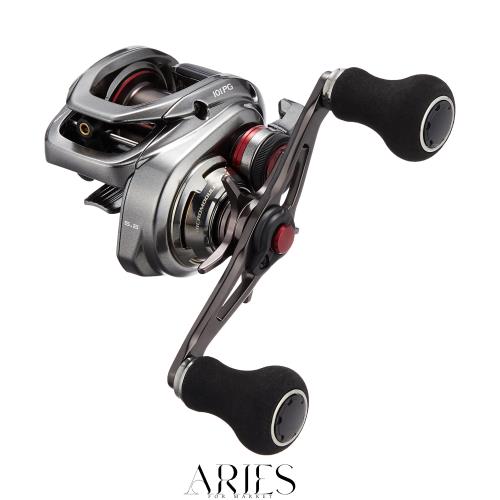 シマノ(SHIMANO) ベイトリール 両軸リール ソルト エンゲツ 2021 101PG LEFT オフショア タイラバ