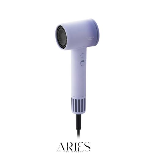 【MiCOLA】アイリスオーヤマ ドライヤー プラスマイナスイオン ヘアドライヤー 静電気抑制 大風量 速乾 軽量 ダメージケア 4段階温度調節