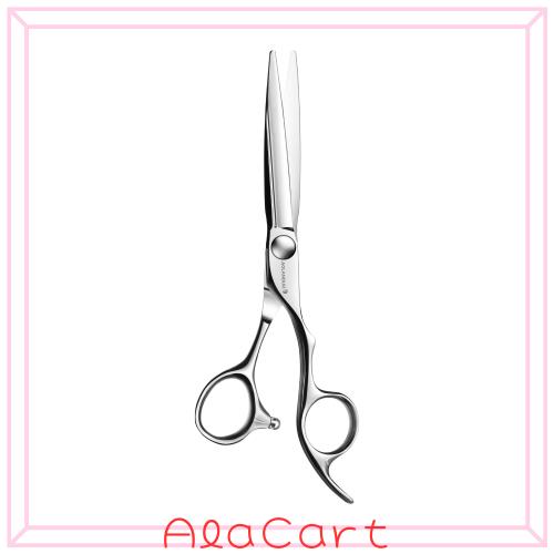 AOLANDUO 6 ”マスターシリーズ理髪はさみ - 丁寧に鋳造されたVG10鋼カミソリはさみ/超滑らか/人間工学に基づいた美容師用（6.0）