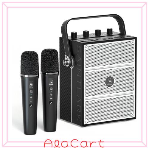 W WINBRIDGE 拡声器 ポータブルスピーカー ハンドマイク 2人同時使用 大音量 ハンズフリー拡声器 PAシステム エコー/AUX/USB/microSD対応