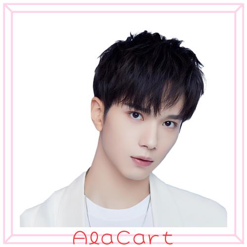 ウィッグ 男性用 総手植えつむじ 人毛100% 人工頭皮 極薄タイプ 无痕 通気性 黒色 医療用