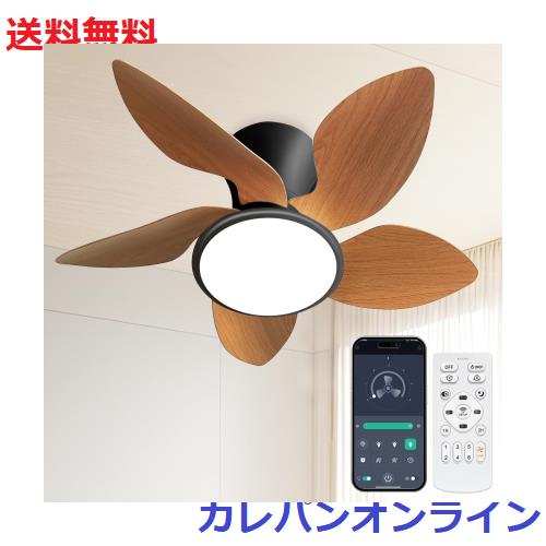 シーリングファンライト 天井照明 5枚羽根 55W 4500lm 8~10畳 無階段調光調色 日光/冷光/暖光 6階段風量調整 正逆回転 タイマー機能 メモ