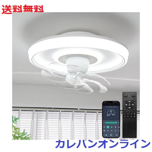シーリングファンライト led 導光板 ファン付き照明 4,000LM 150W相当 8~10畳 サーキュレーター 無階段調色調光 DCモーター 正逆回転 常