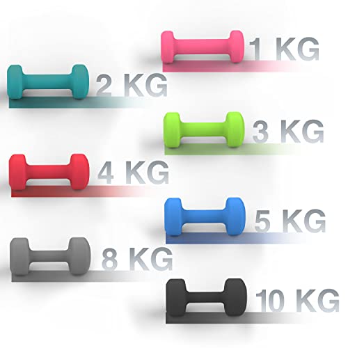 ダンベル 10kg 2個セット 筋トレ ダンベル ？？ ウエイト カラー ダンベル 鉄アレイ dumbbell (ブラック) ダンベル 10kg 2個セット 筋トレ ダンベル ？？ ウエイト カラー