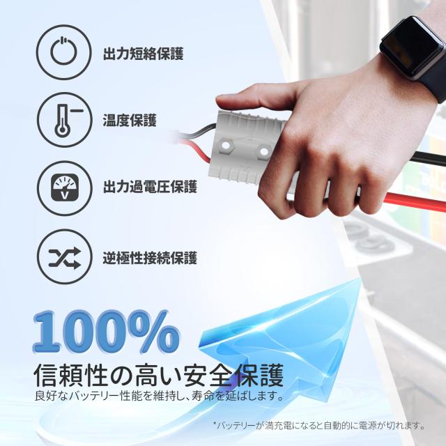 Redodo 14.6V 20A リン酸鉄リチウムイオンバッテリー専用充電器 急速充電 LiFePO4バッテリーチャージャー アンダーソンコネクタ 保護され