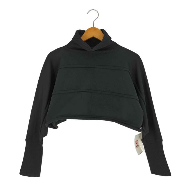 PLEATS PLEASE ISSEY MIYAKE(プリーツプリーズイッセイミヤケ) ハイネック クロップド ロングスリーブTシャツ レディース 表記無 【中古】【ブランド古着バズストア】