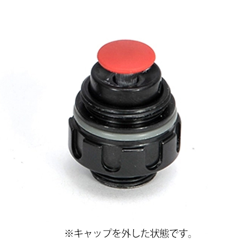 Fisheye フィッシュアイ 20872 バキュームバルブII M16 Nauticam ノーティカム