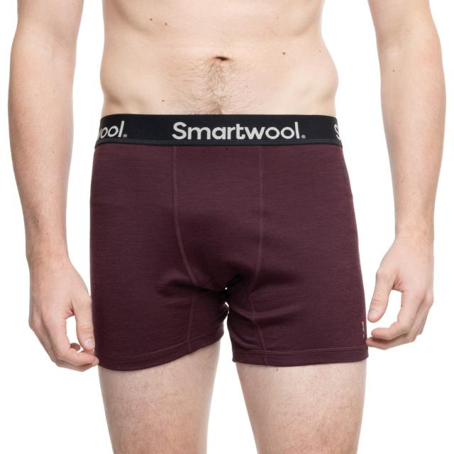 (取寄) スマートウール アクティブ ボクサー ブリーフ - メリノ ウール SmartWool Active Boxer Briefs - Merino Wool Everyday Eggplant