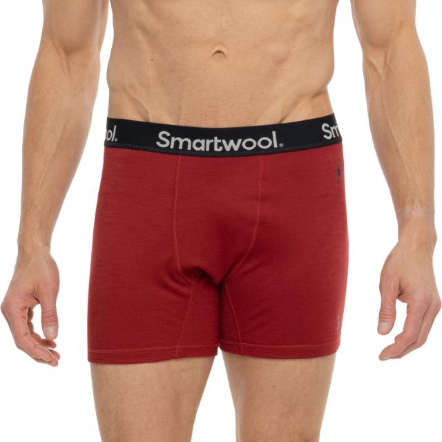 (取寄) スマートウール アクティブ エブリデイ ボクサー ブリーフ - メリノ ウール SmartWool Active Everyday Boxer Briefs - Merino Wool Everyday Currant