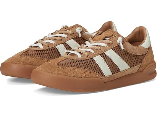 (取寄) スティーブマデン レディース ヴァーディクト Steve Madden women Steve Madden Verdict Tan Multi