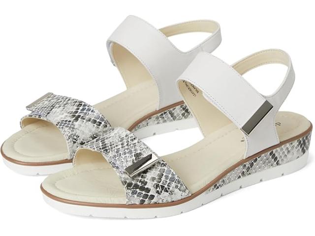 (取寄) デビッドテイト レディース シビック David Tate women Civic White Multi