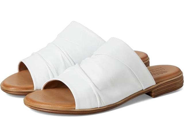 (取寄) スプリング ステップ レディース  Spring Step women Jaleel White