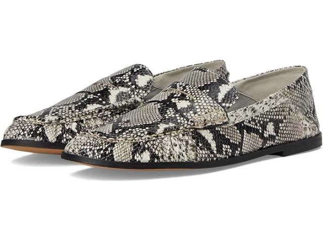 (取寄) スティーブマデン レディース スチュワート Steve Madden women Stewart Snake
