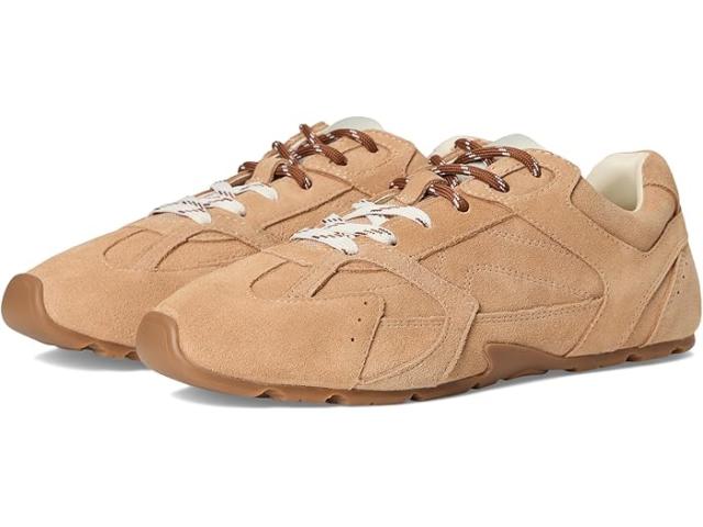 (取寄) スティーブマデン レディース  Steve Madden women Aziel Sand Suede