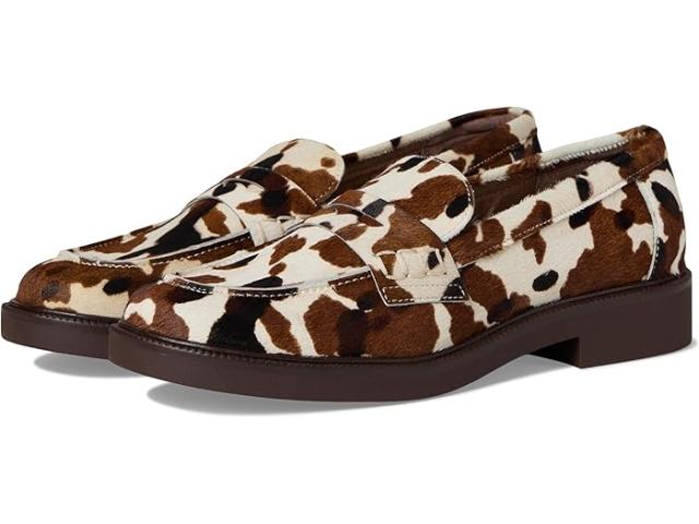 (取寄) ドルチェヴィータ レディース ティギー Dolce Vita women Tiggy Cocoa