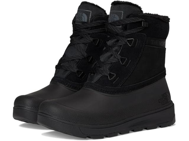 (取寄) ノースフェイス レディース シェリスタ V ショーティー Wp The North Face women Shellista V Shorty WP TNF Black/TNF Black