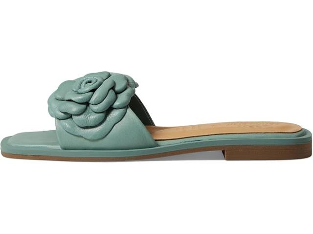 取寄) スプリング ステップ レディース ドモニク Spring Step women