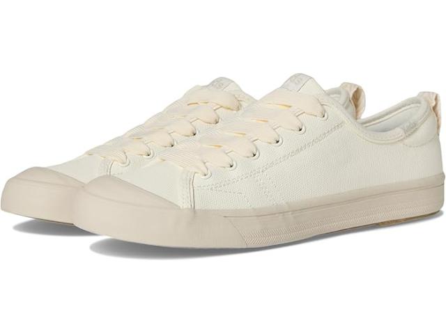 (取寄) ケッズ レディース クルーズ スリップ オン Keds women Cruise Slip On Egret/Taupe Canvas