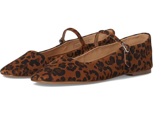(取寄) スティーブマデン レディース メイプル Steve Madden women Maple Leopard