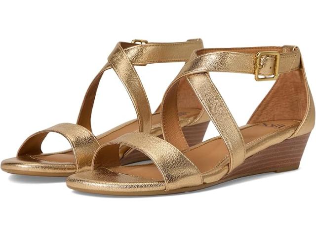 (取寄) ソフト レディース イニス Sofft women Innis Old Gold-Platino