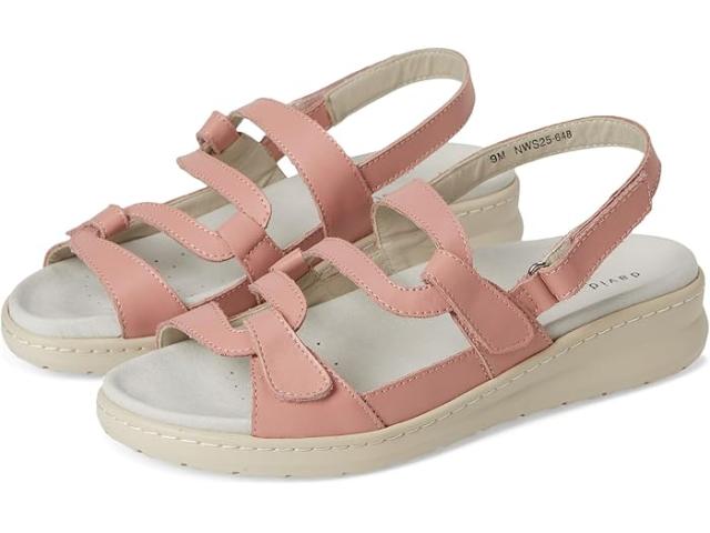 (取寄) デビッドテイト レディース ファム David Tate women Femme Peach