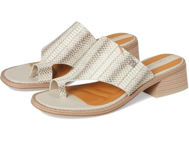 (取寄) フランコ サルト レディース シーア Franco Sarto women Sia Roccia Grey Snake