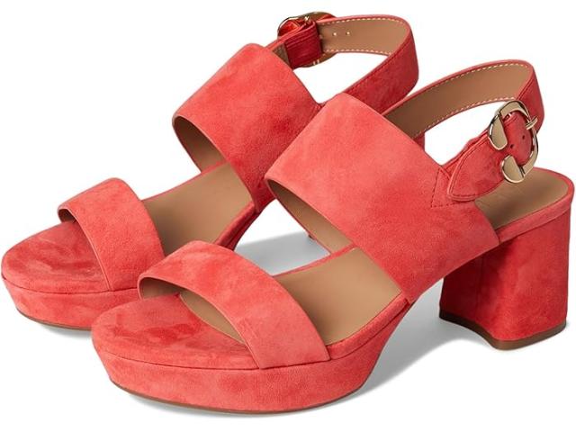 (取寄) エアロソールズ レディース カメラ Aerosoles women Camera Coral Suede