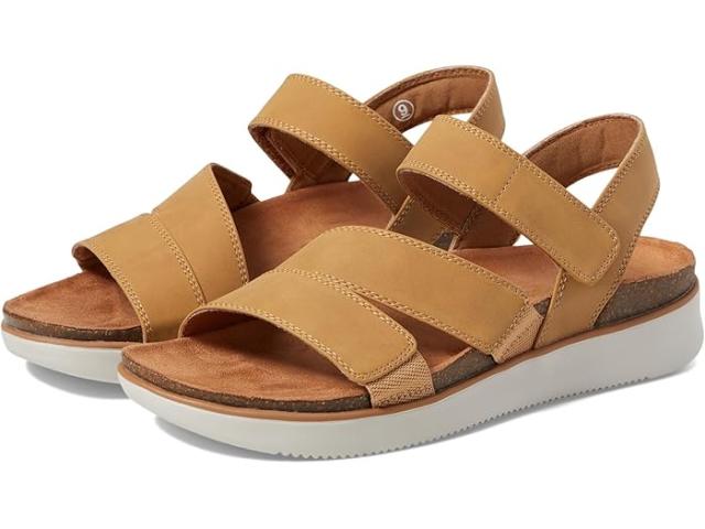 (取寄) スケッチャーズ レディース リフテッド コンフォート SKECHERS women SKECHERS Lifted Comfort Chestnut