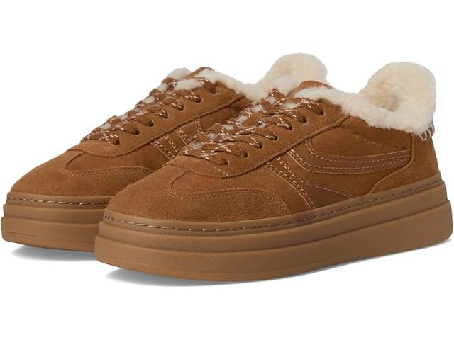 (取寄) スティーブマデン レディース ダッジ Steve Madden women Dodge Chesnut Suede Fur