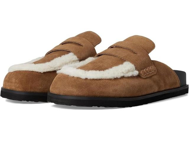 (取寄) スティーブマデン レディース  Steve Madden women Tomlin Chestnut Suede