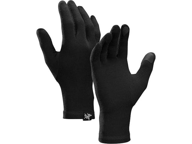 (取寄) アークテリクス ゴシック グローブ Arc'teryx Gothic Gloves Black