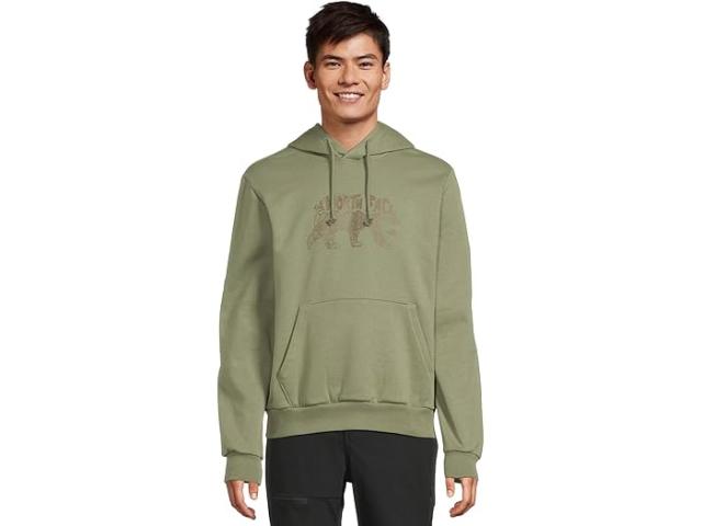 (取寄) ノースフェイス メンズ エボリューション TNF ベアー ブーディ グラフィック The North Face men Evolution TNF Bear Hoodie Graphic Bark Mist