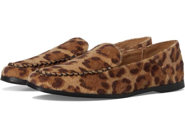 (取寄) レディース マクソン DV by Dolce Vita women Maxon Leopard Pony