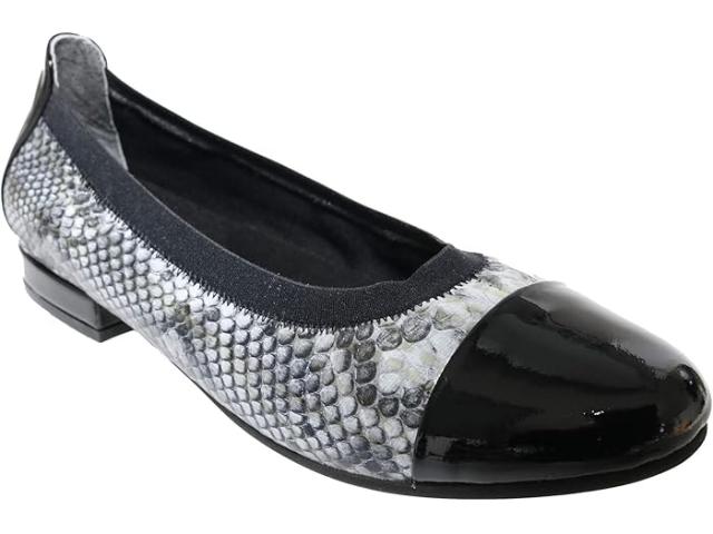 (取寄) デビッドテイト レディース ニコール David Tate women Nicole Black Snake Print