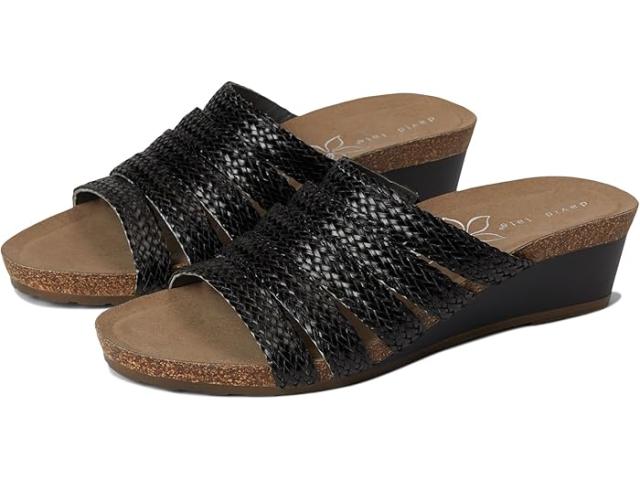 (取寄) デビッドテイト レディース ファビアナ David Tate women Fabiana Black