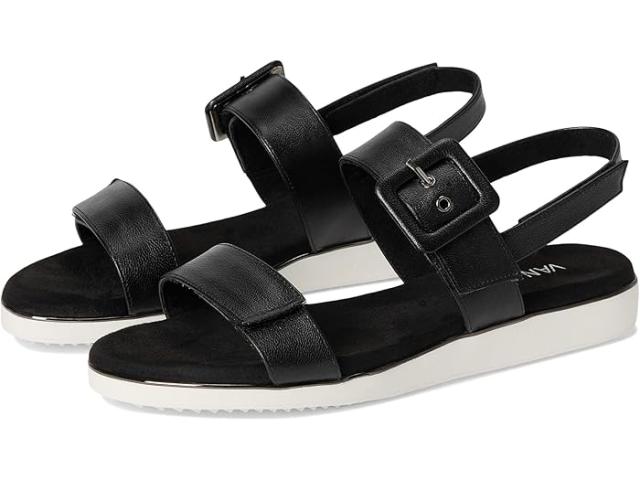 (取寄) ヴァネリ レディース  Vaneli women Elysha Black Aston