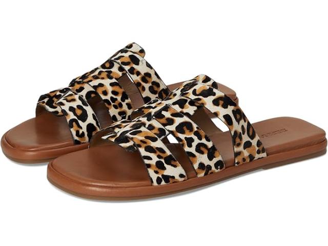 (取寄) ベルナルド レディース テイマー ヘアカーフ Bernardo women Tamer Haircalf Cream Leopard