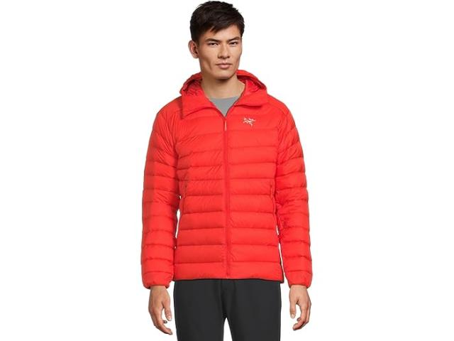 (取寄) アークテリクス メンズ セリウム フーディ Arc'teryx men Cerium Hoody Dynasty