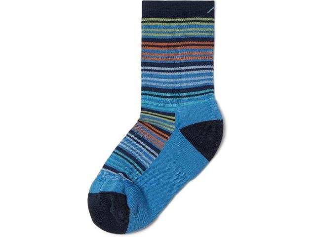 (取寄) ダーンタフバーモント メンズ ゼブラ キャニオン ミクロ クルー ライトウェイト ウィズ クッション Darn Tough Vermont men Zebra Canyon Micro Crew Lightweight with Cushion Stellar